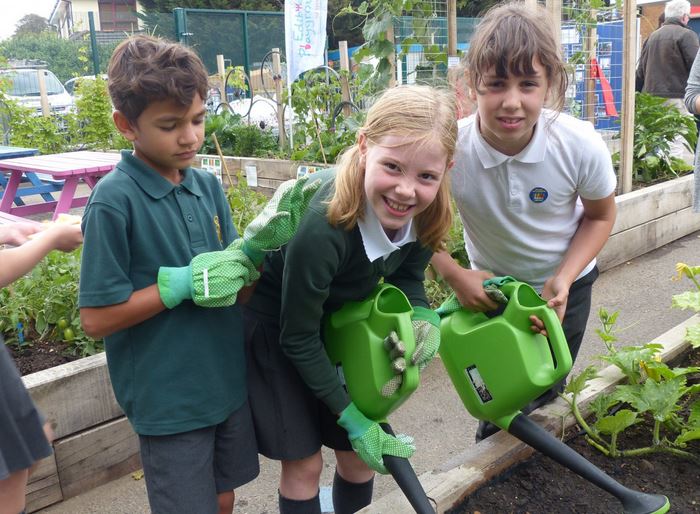 Trees for Cities is urging teachers and parents to help children ...